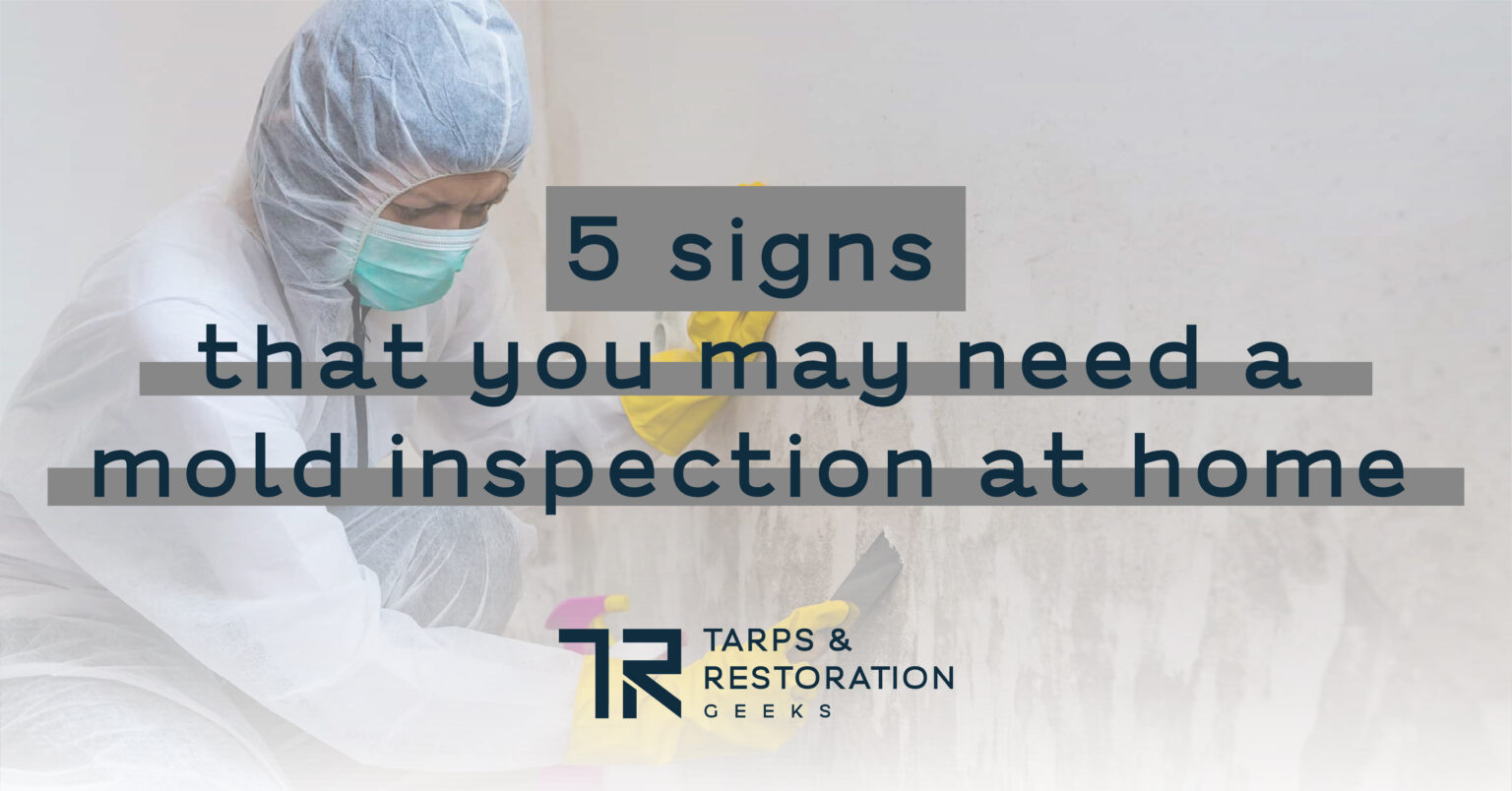 5 signs that you may need a mold inspection at home - Restoration Geeks